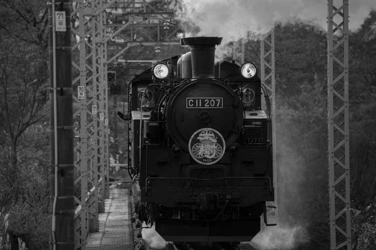 SL大樹 C11 | GANREF