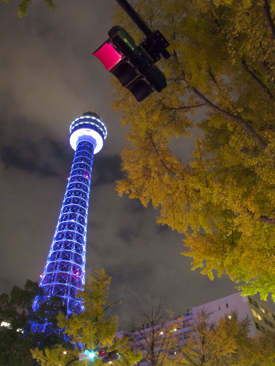 Dramatic Autumn | GANREF