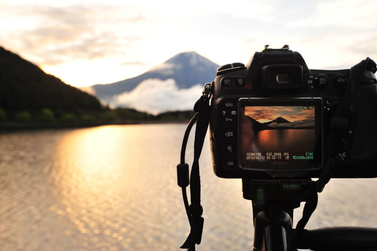 ダブル富士 | GANREF