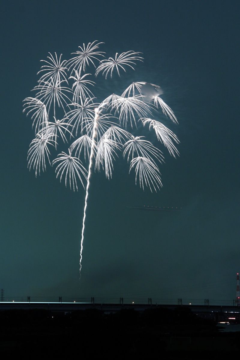 2009 Hanabi #4 | GANREF
