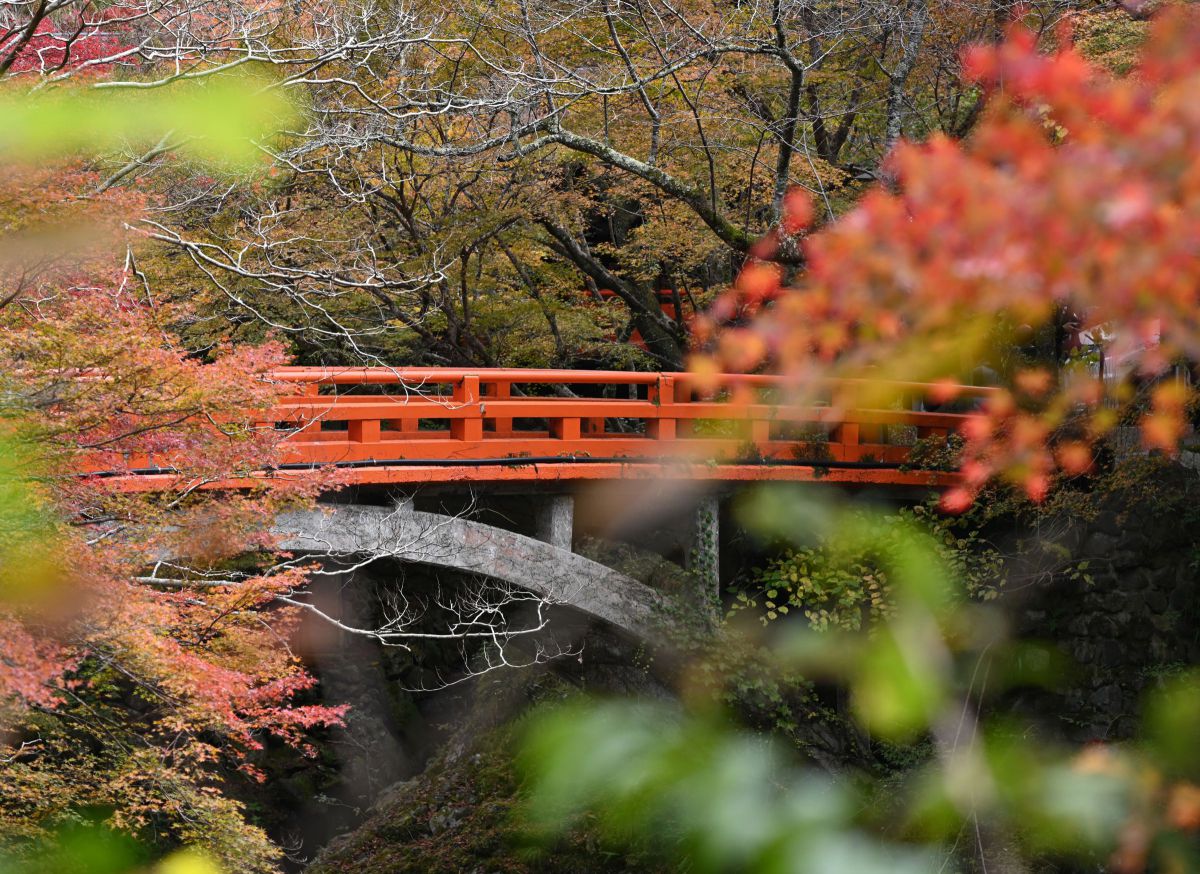 紅中紅橋 | GANREF