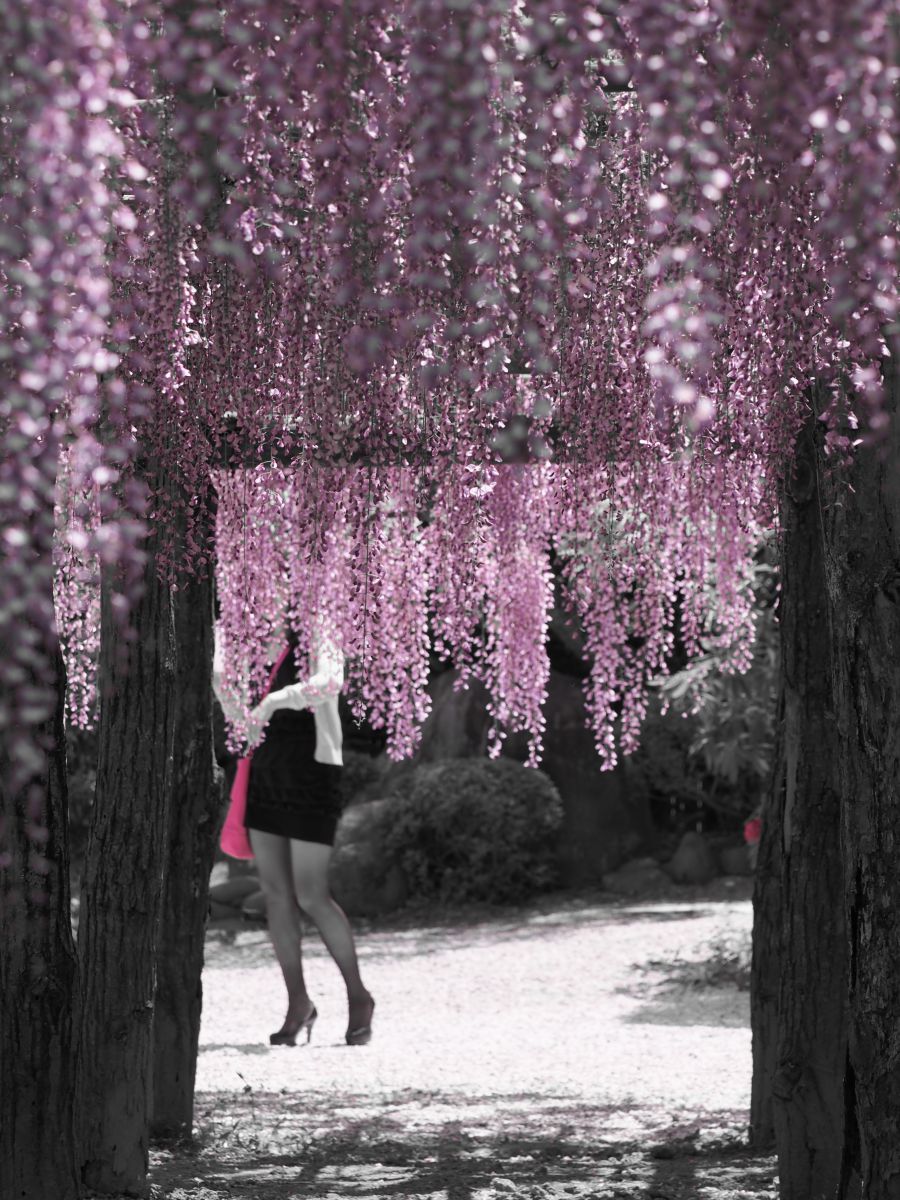 ライバル同士.jpg | GANREF