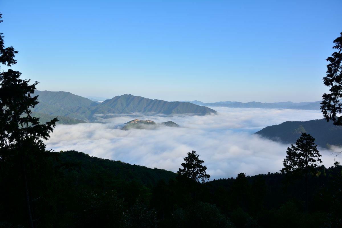 Castle floating in the Clouds. | GANREF
