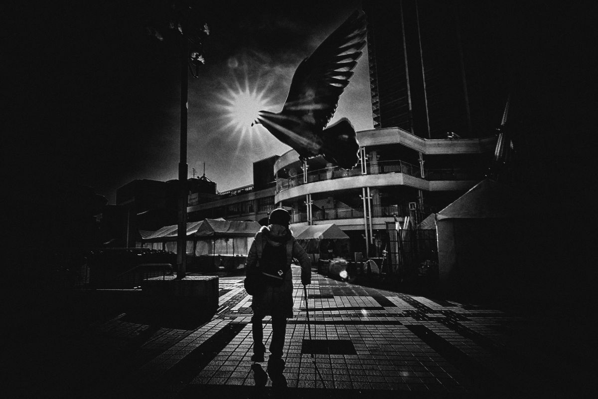 Fading Away | GANREF