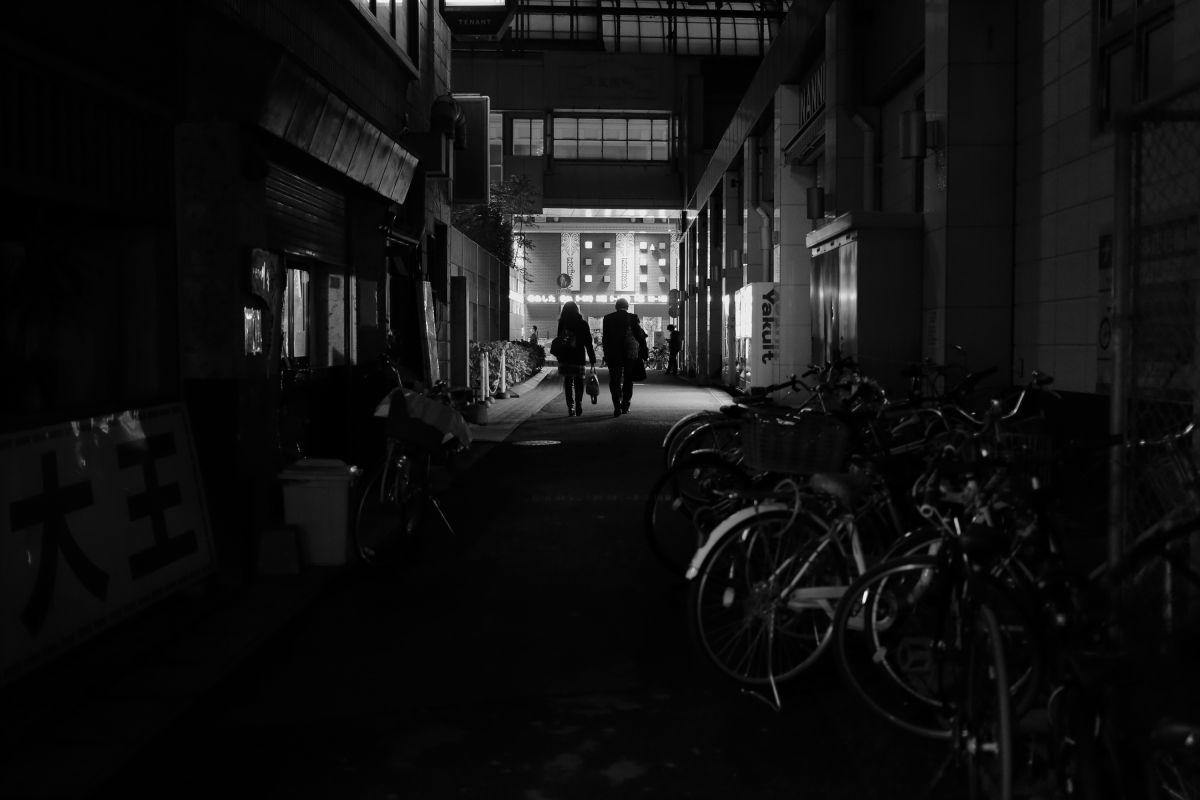 In the light | GANREF