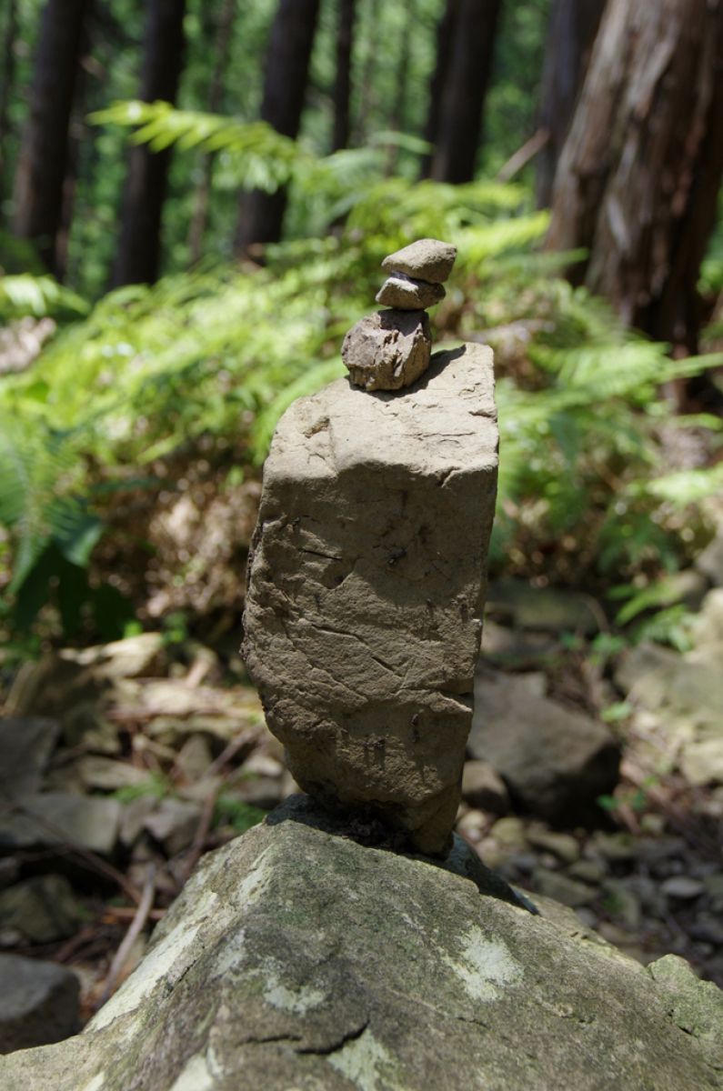 人間の習性 | GANREF