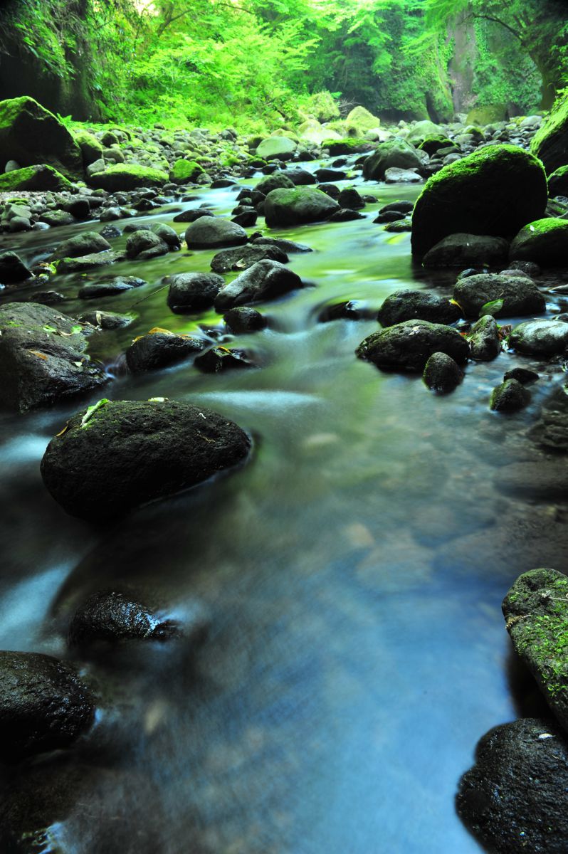 渓谷の涼 | GANREF