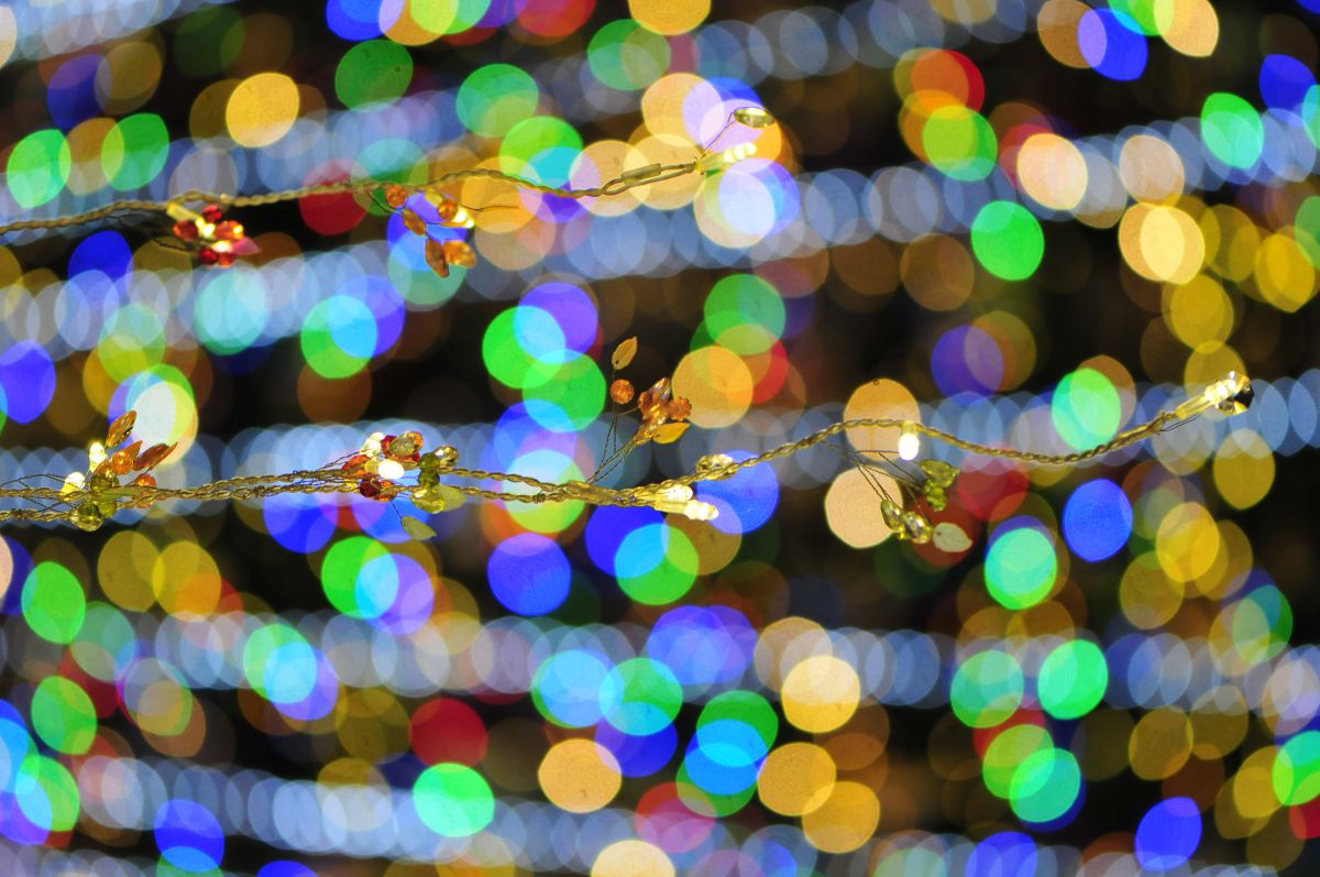 Rainbow Pearl | GANREF