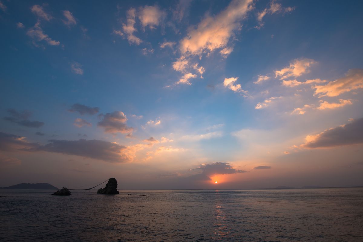 happy new year | GANREF