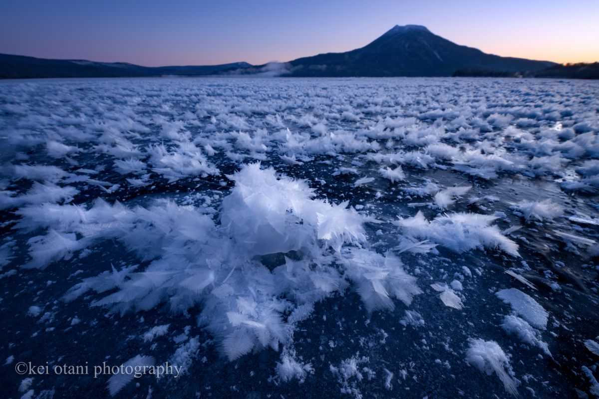 ICE FEATHERS | GANREF