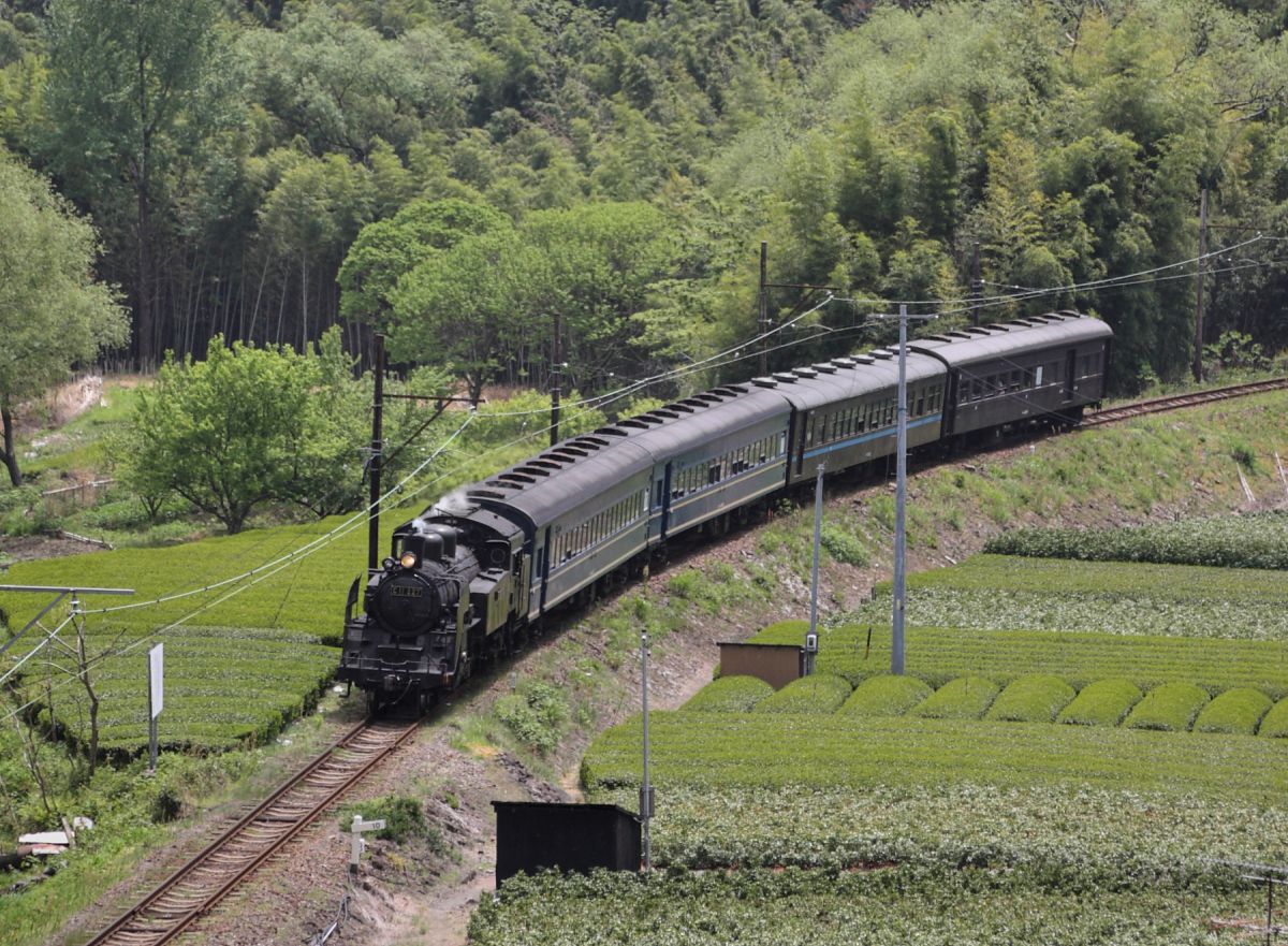 茶畑とC11 | GANREF