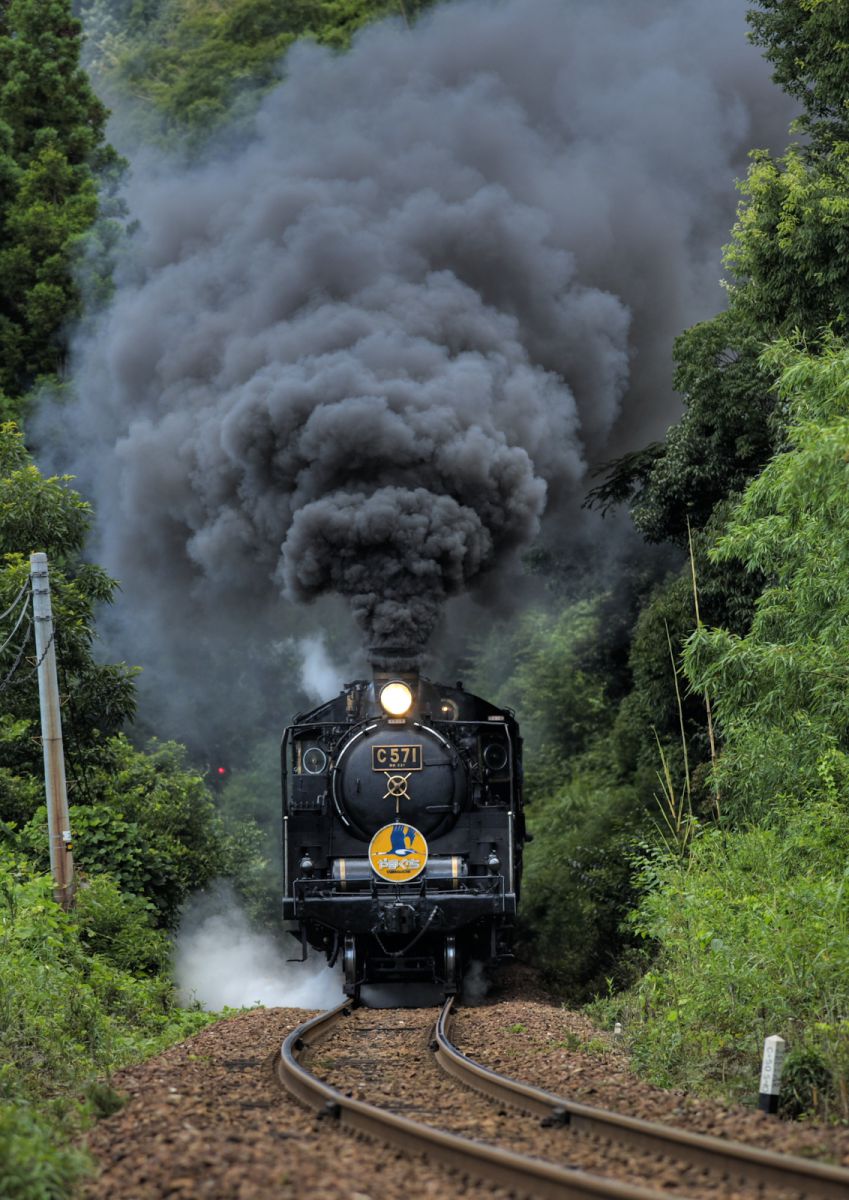 C57 仁保 篠目 | GANREF