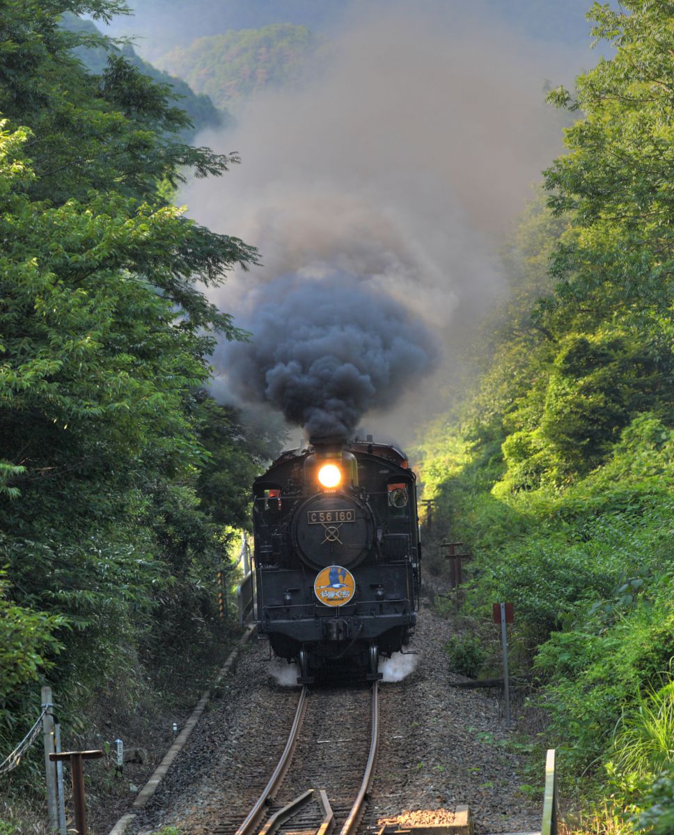 C56 篠目 仁保 | GANREF