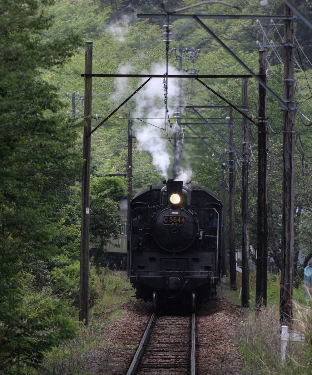 新緑とSL C56 | GANREF