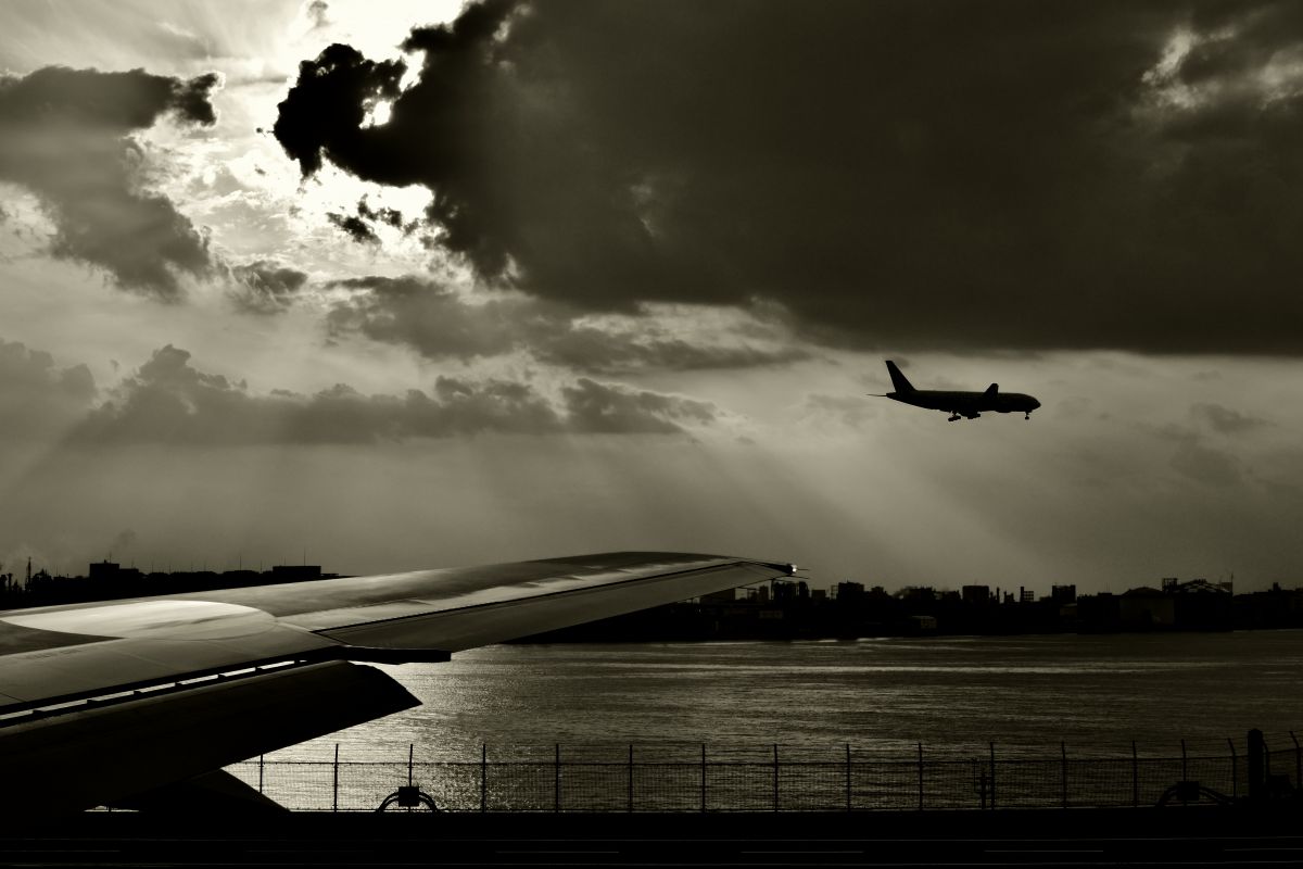 going ＆ coming ... | GANREF