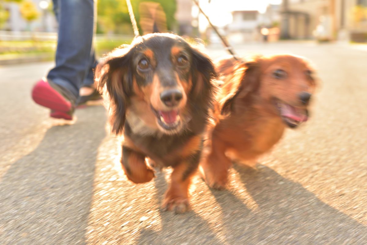 Fun♪Fun♪Fun♪ | GANREF