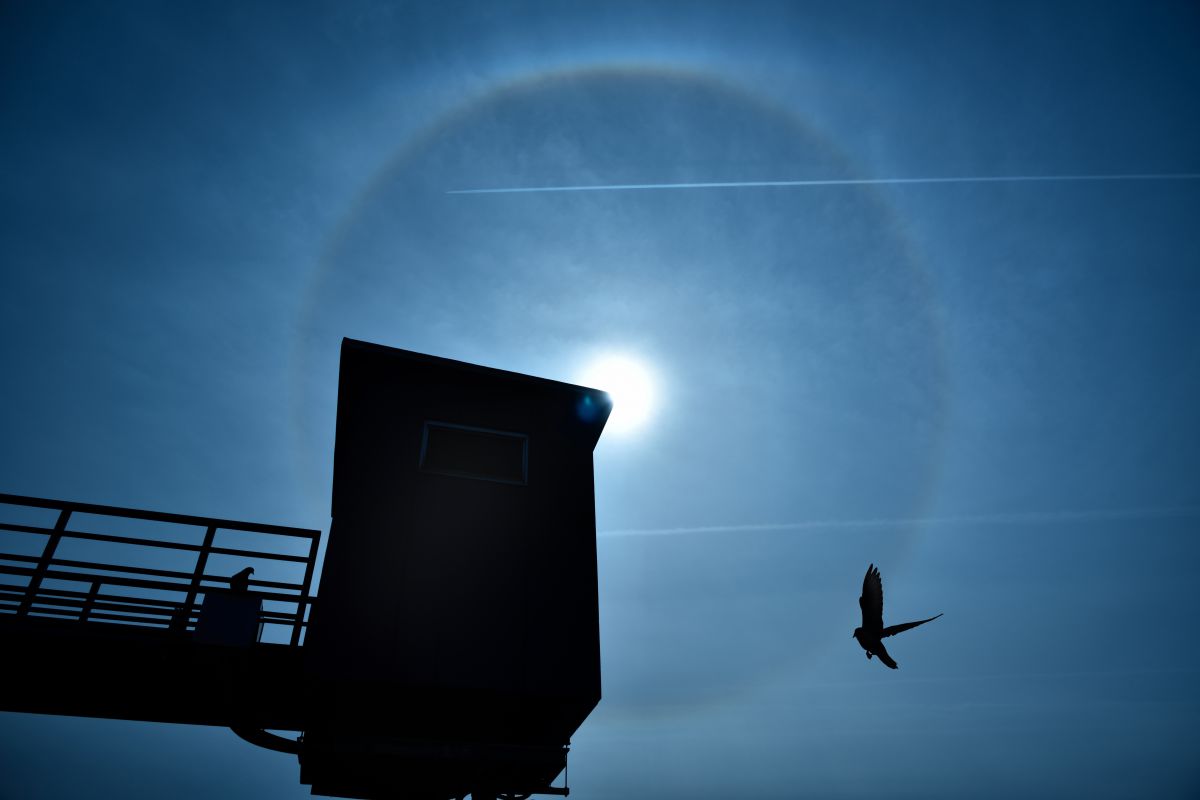 take a rest | GANREF