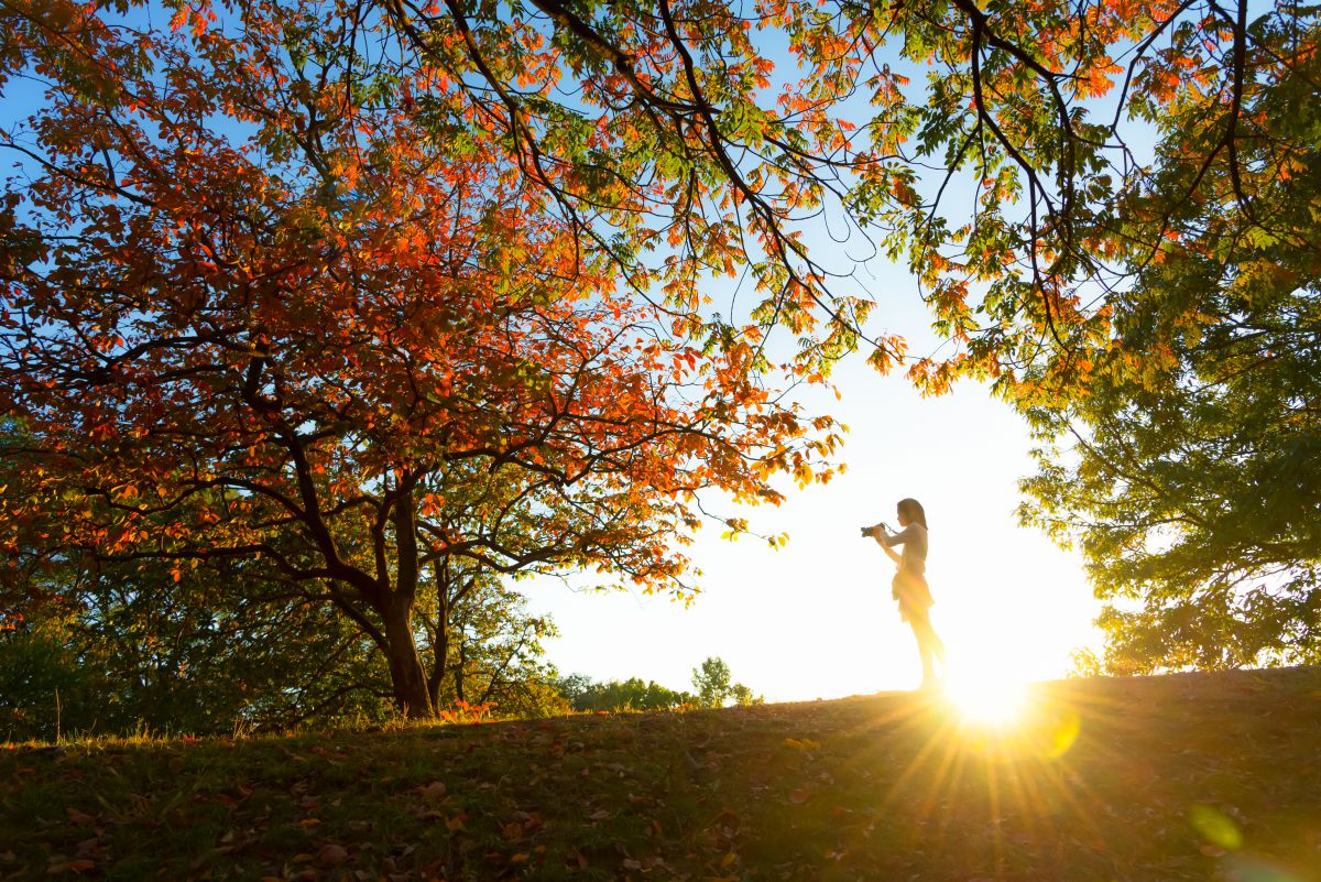 秋を撮る | GANREF