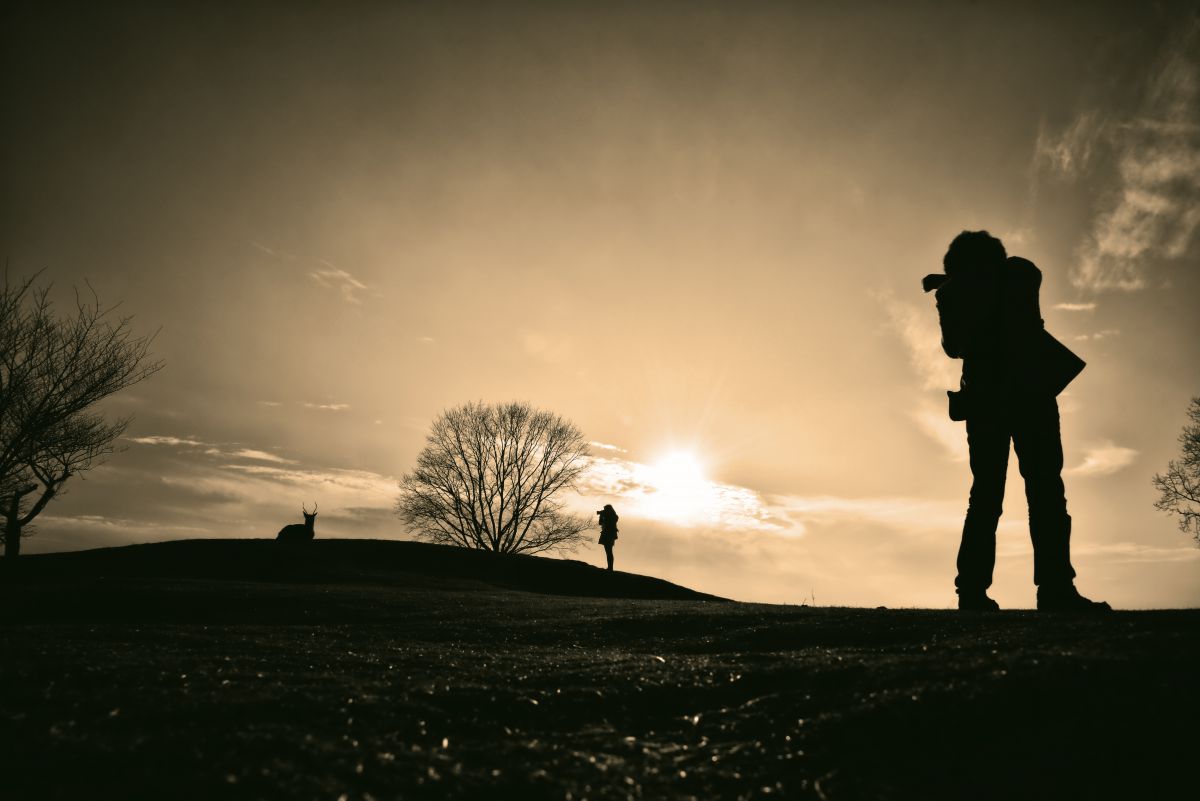 Shoot！Shoot！Shoot！ | GANREF