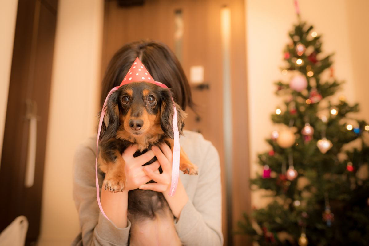 Greetings♪ | GANREF