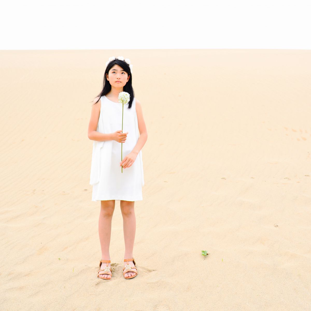 Two sprouts | GANREF