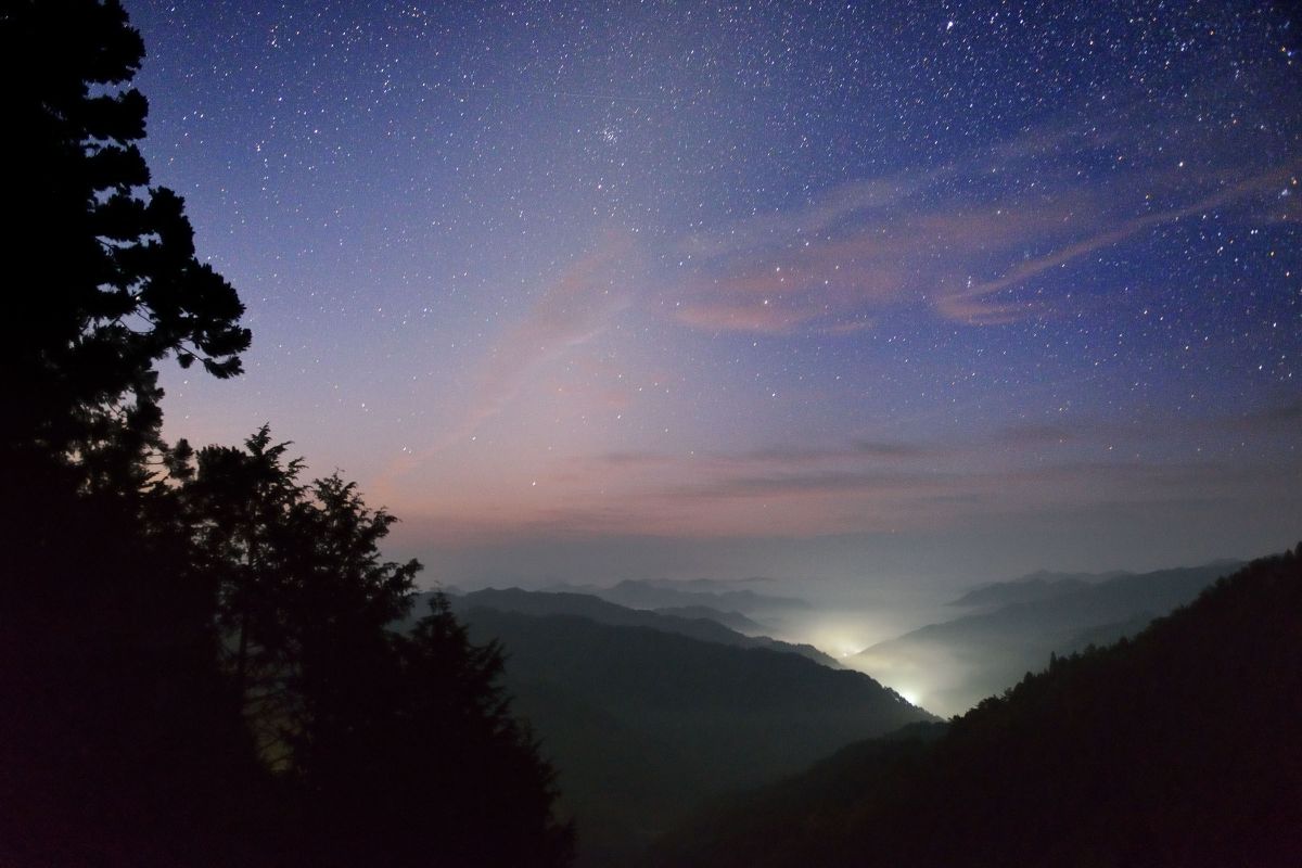 Dawn Purple | GANREF