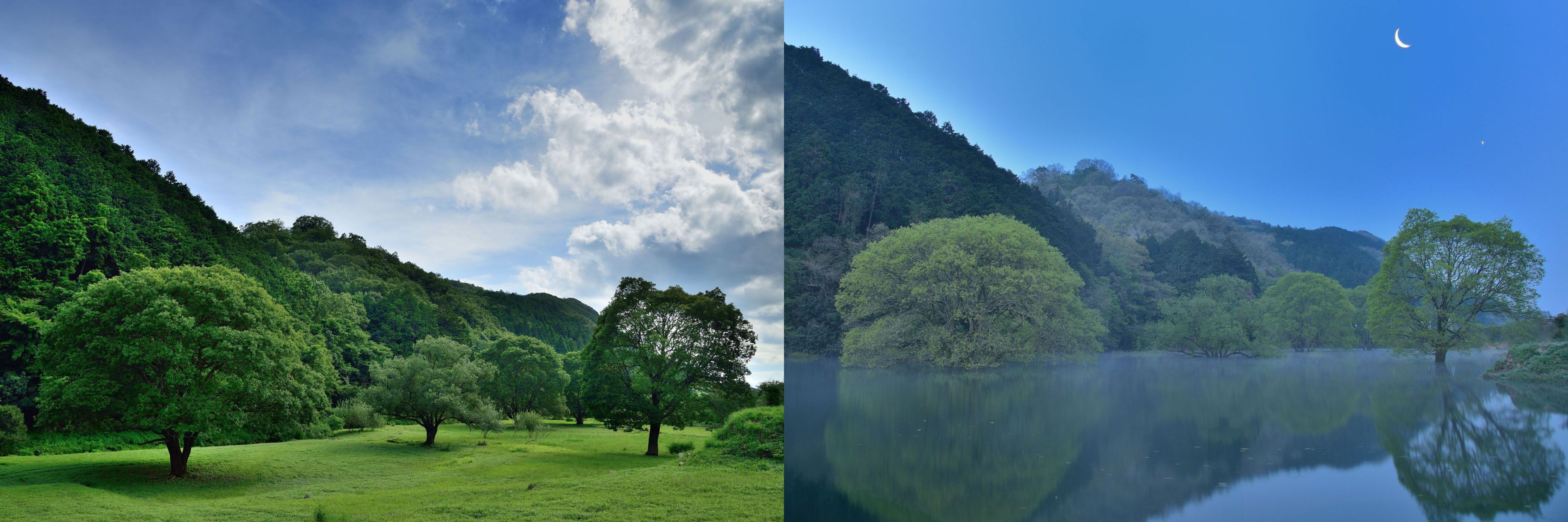 Before After | GANREF