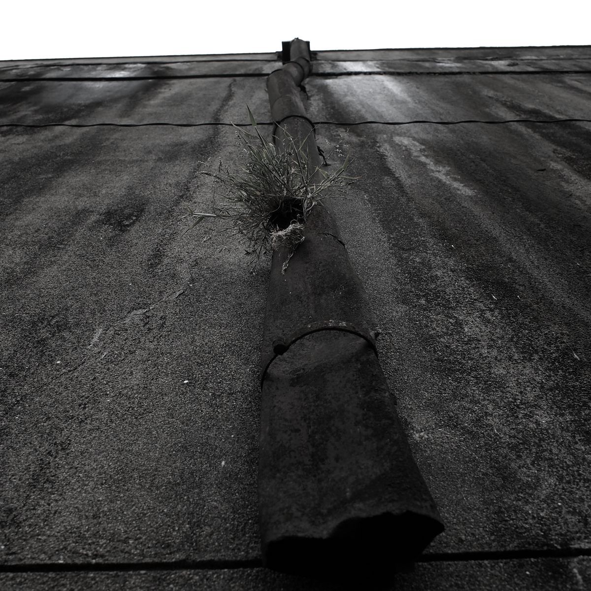 Existence value | GANREF