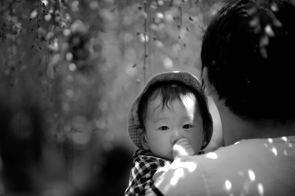 君の瞳に | GANREF