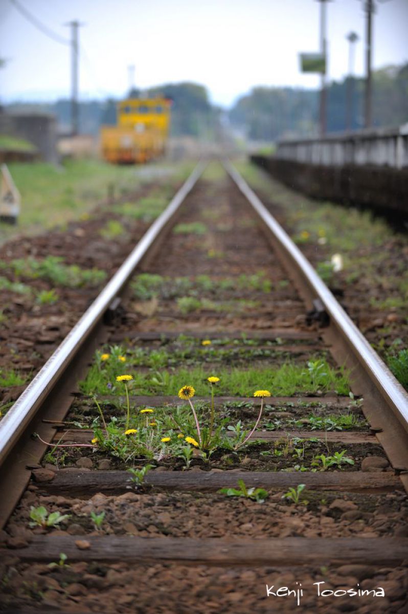 Visit of spring | GANREF