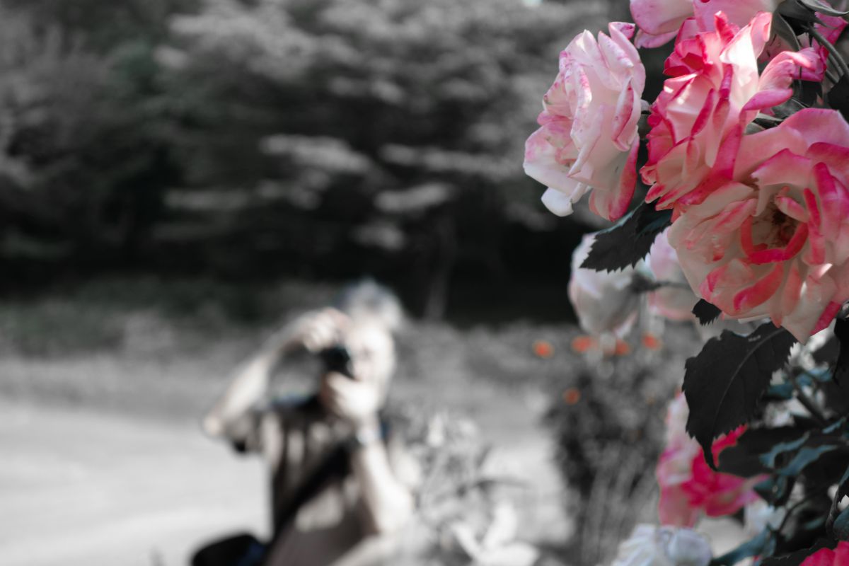 Photo Shooting | GANREF