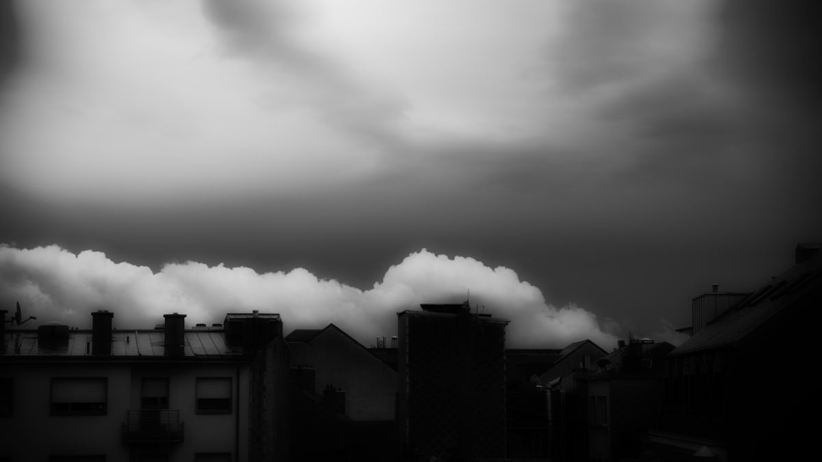 雨上がり B＆W | GANREF