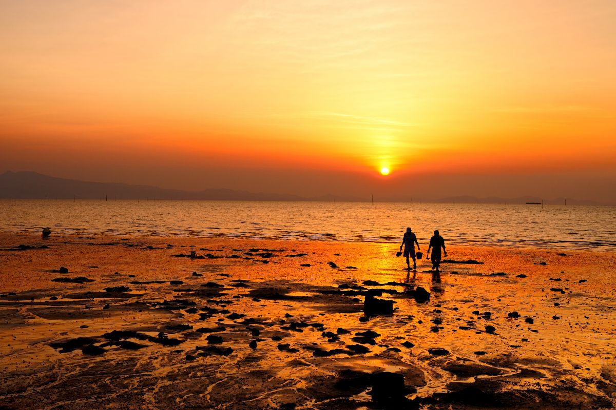 さぁ～帰ろう！ Ver2 | GANREF