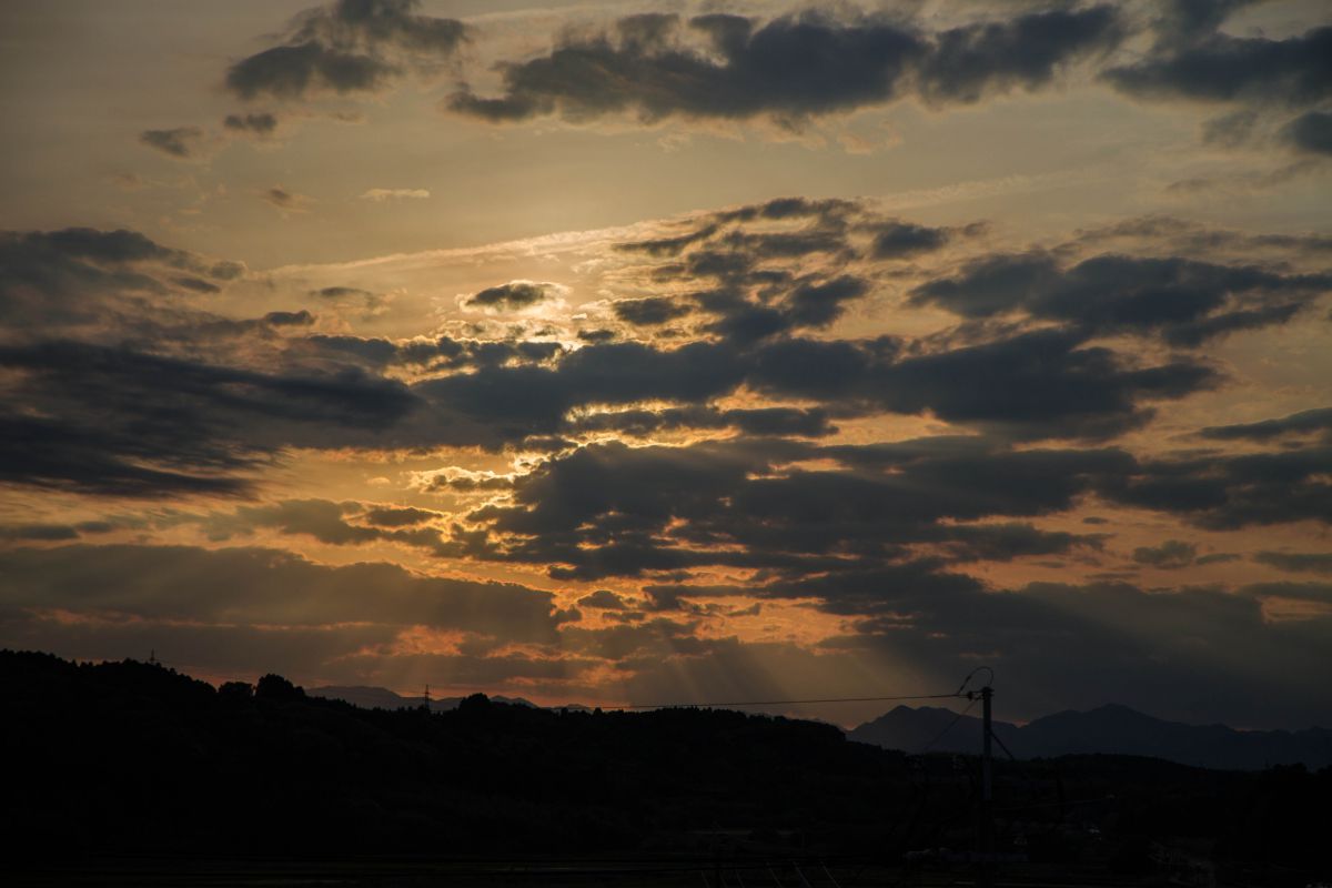 ふりそそぐ。 | GANREF