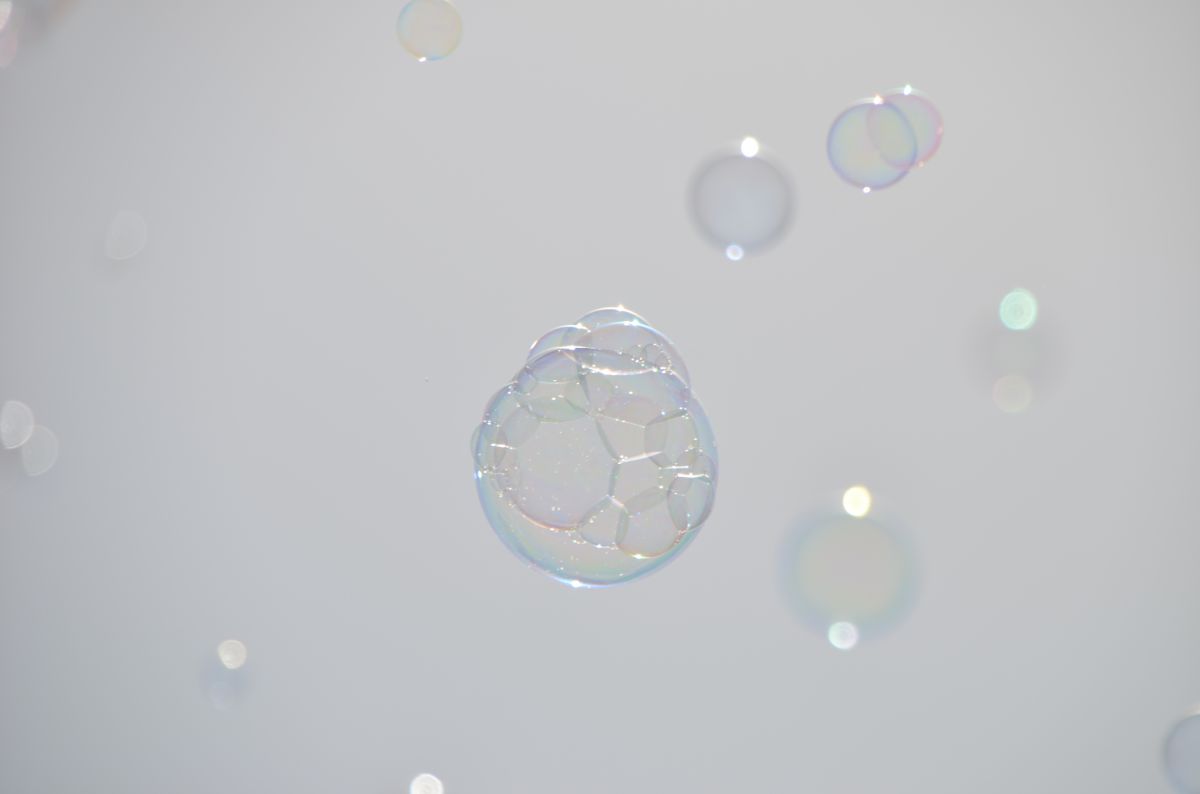 The bubble dream | GANREF