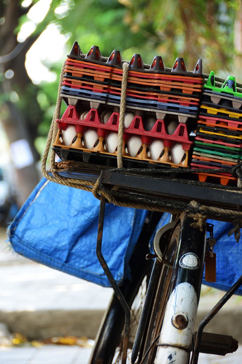 delivery arrived | GANREF