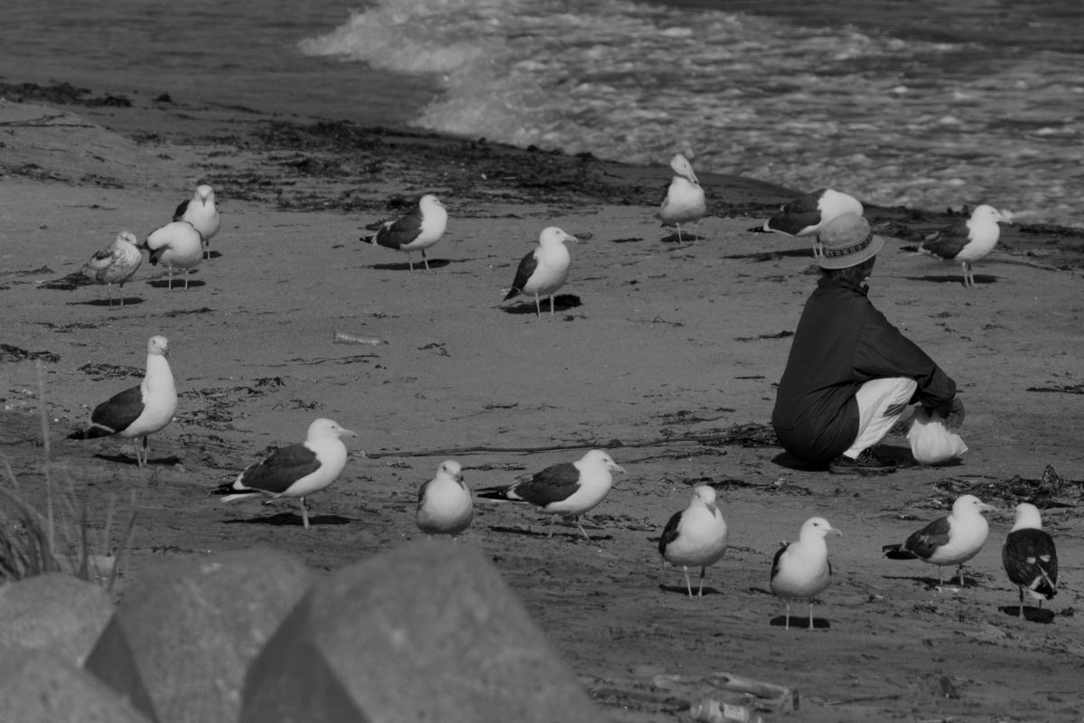 後ろの正面だ〜あれ！ | GANREF