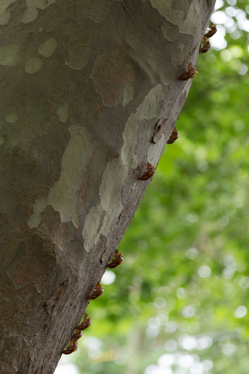 Just like rock-climbing | GANREF