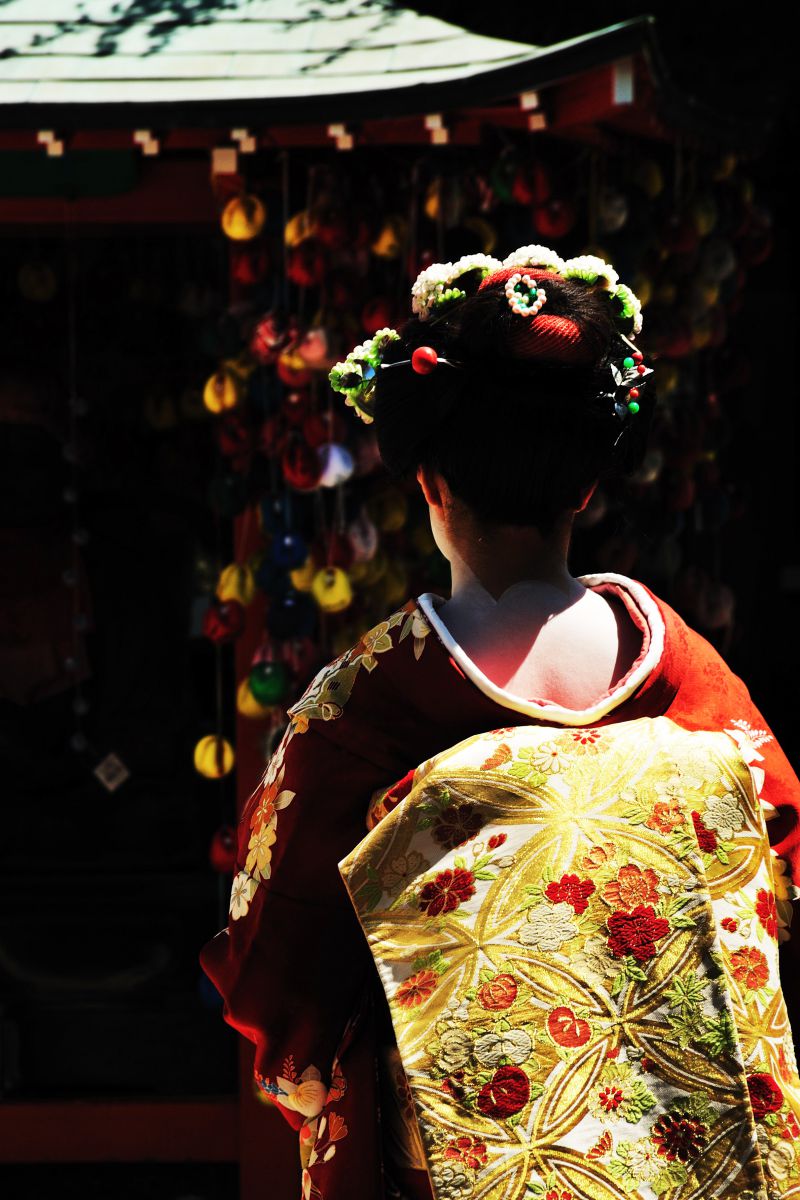 Maiko Lady(ｶﾗｰ版) | GANREF