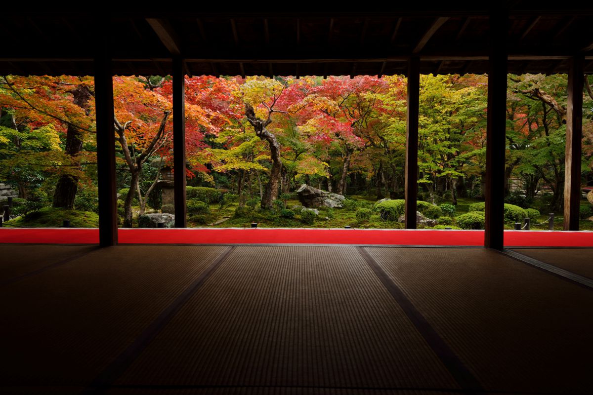 極彩色・2013 | GANREF