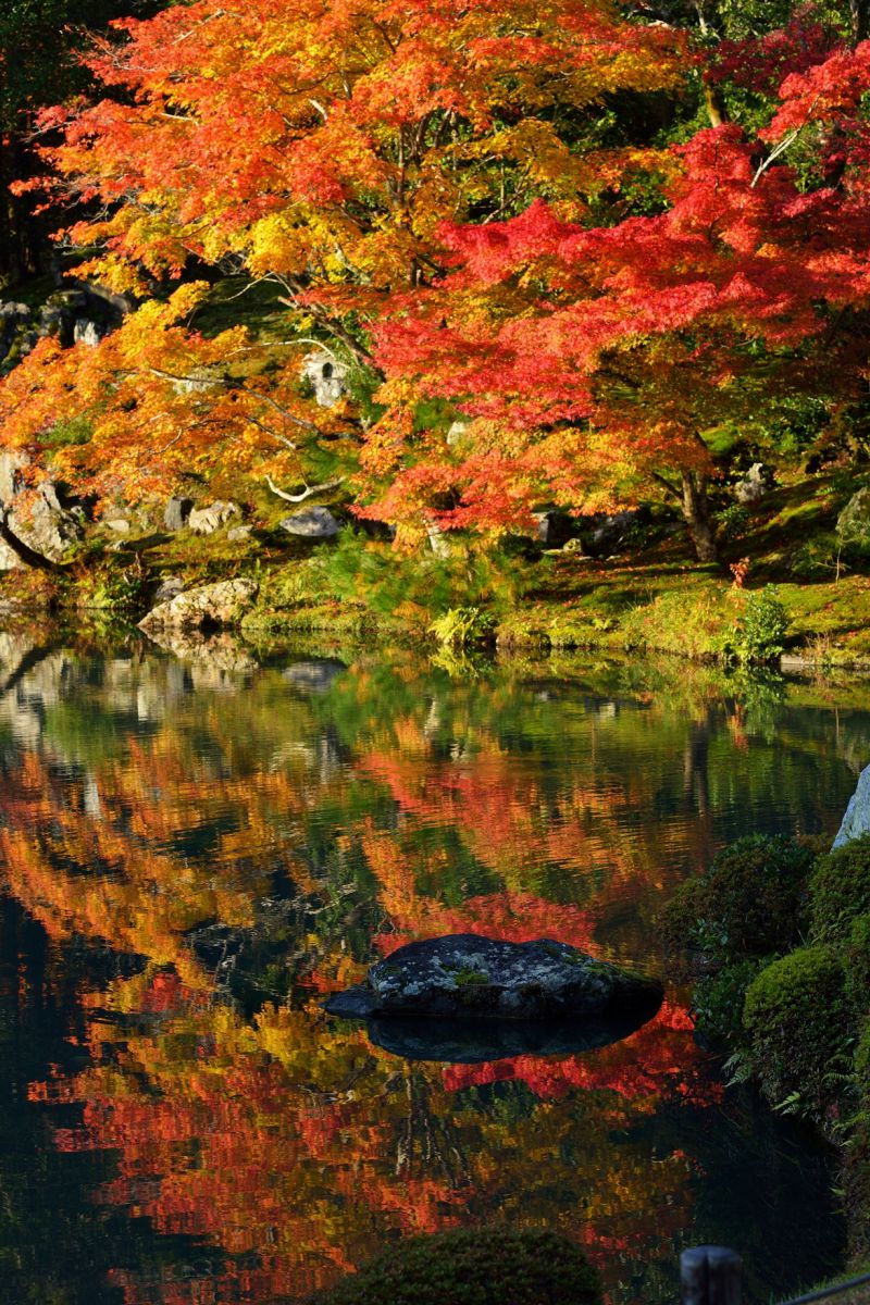 彩りうつりて(2012) | GANREF