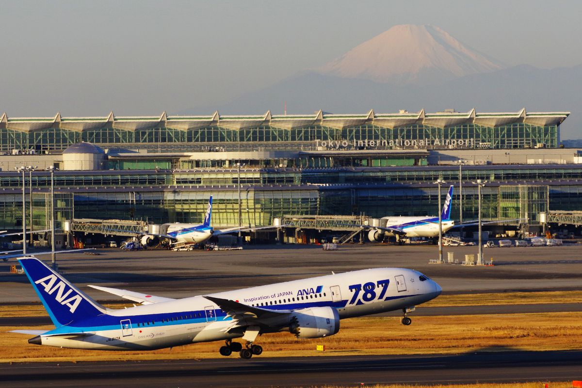 今朝の787と富士 | GANREF