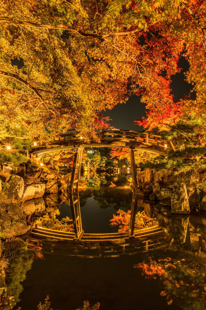 Autumn reflection | GANREF