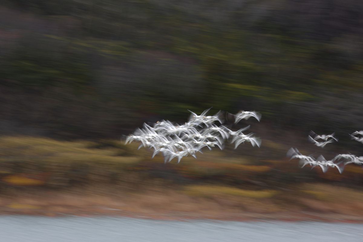 scene 337【多重合成】 | GANREF