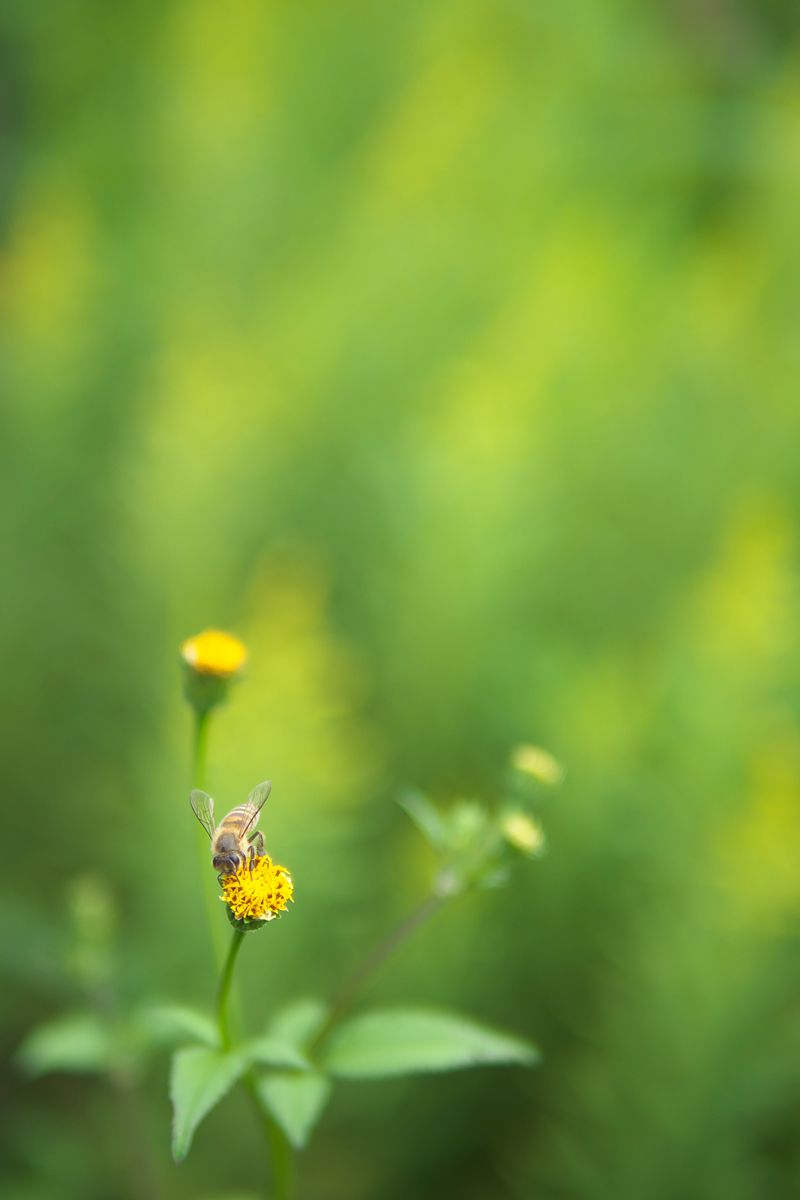 秋のことわり | GANREF