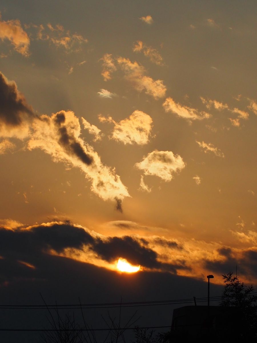 2014年最後 | GANREF