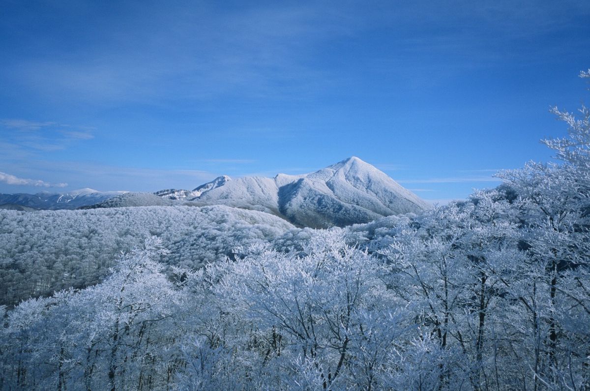 Painted White | GANREF