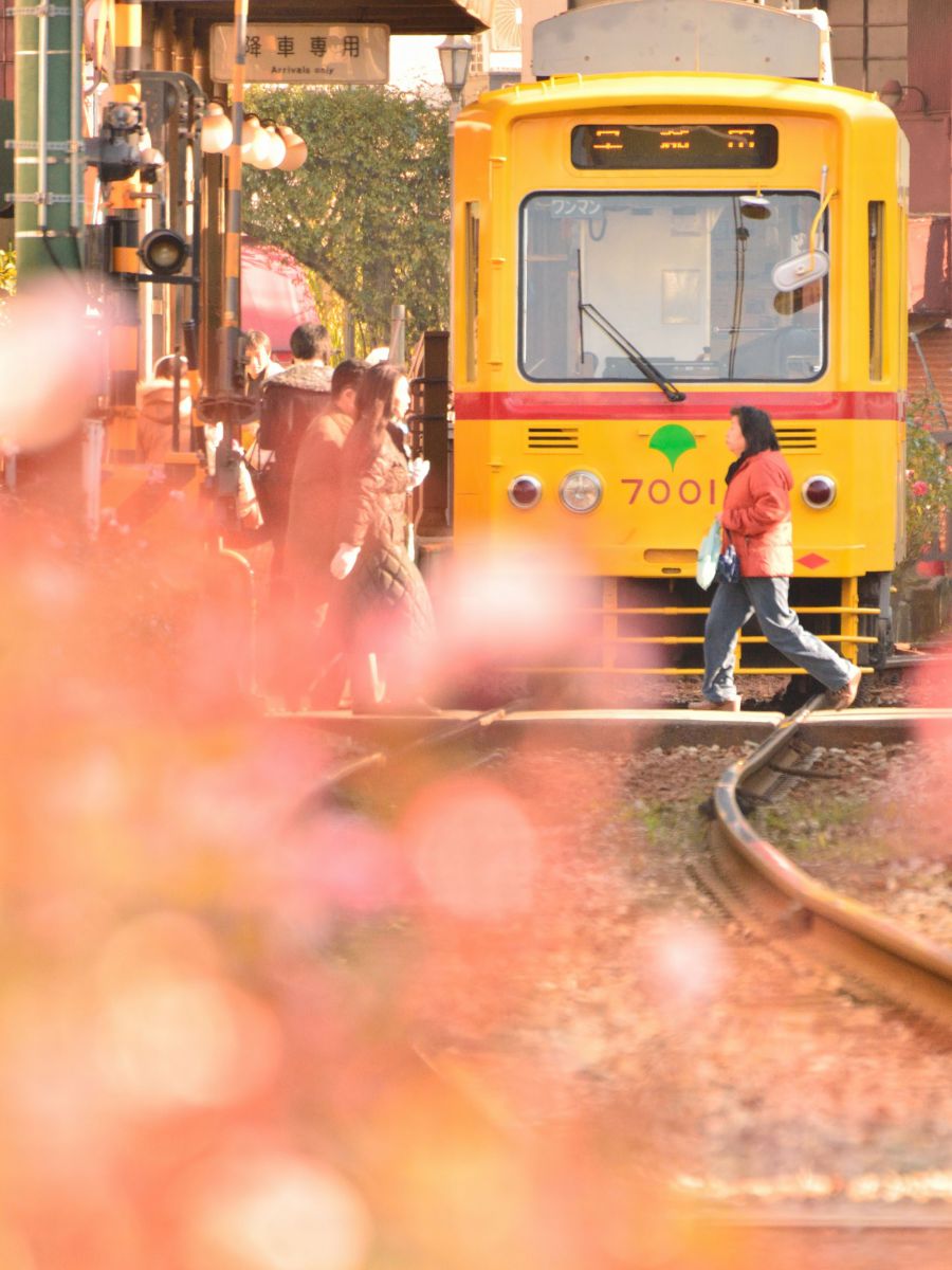 ゆるくふんわりと | GANREF