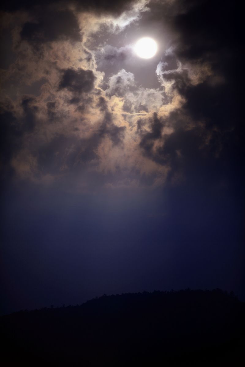 エロスの神（ﾌﾟﾌﾟｯ | GANREF