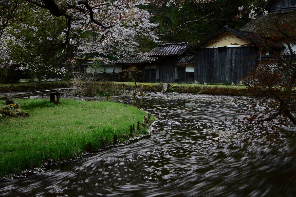 Floral Raft | GANREF